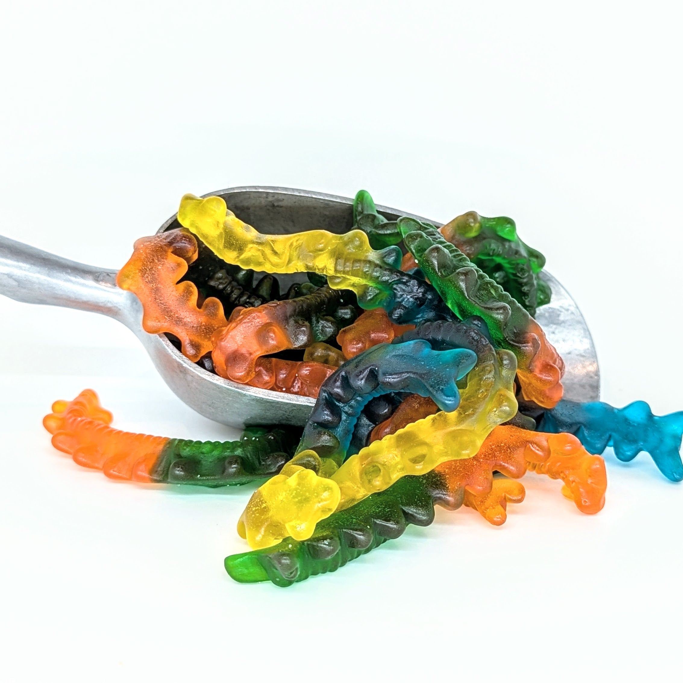 Gummi Centipedes | Sweet Mickey's | Seattle Candy Shop